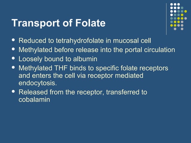 Folate and b12 metabolism | PPT