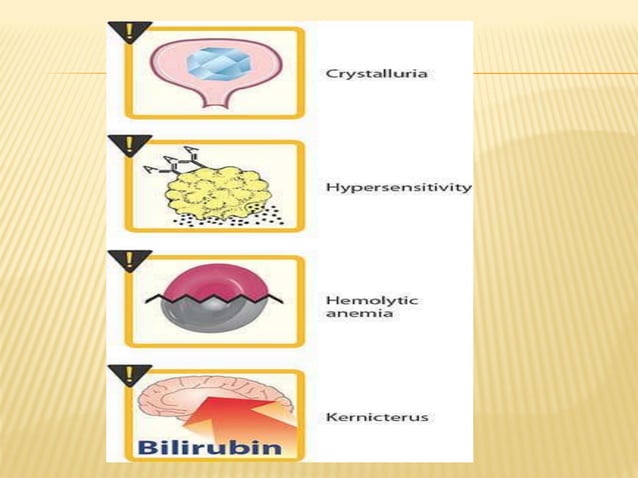 Folate antagonists | PDF | Blood Disorders | Diseases and Conditions