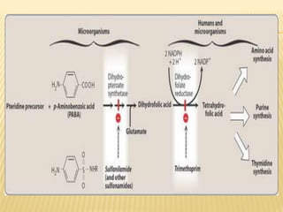 Folate antagonists | PDF