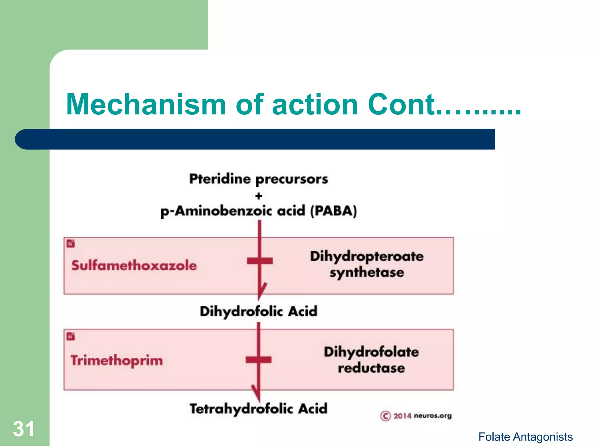 Folate antagonists- Sulfonamides and Trimethoprim | PDF