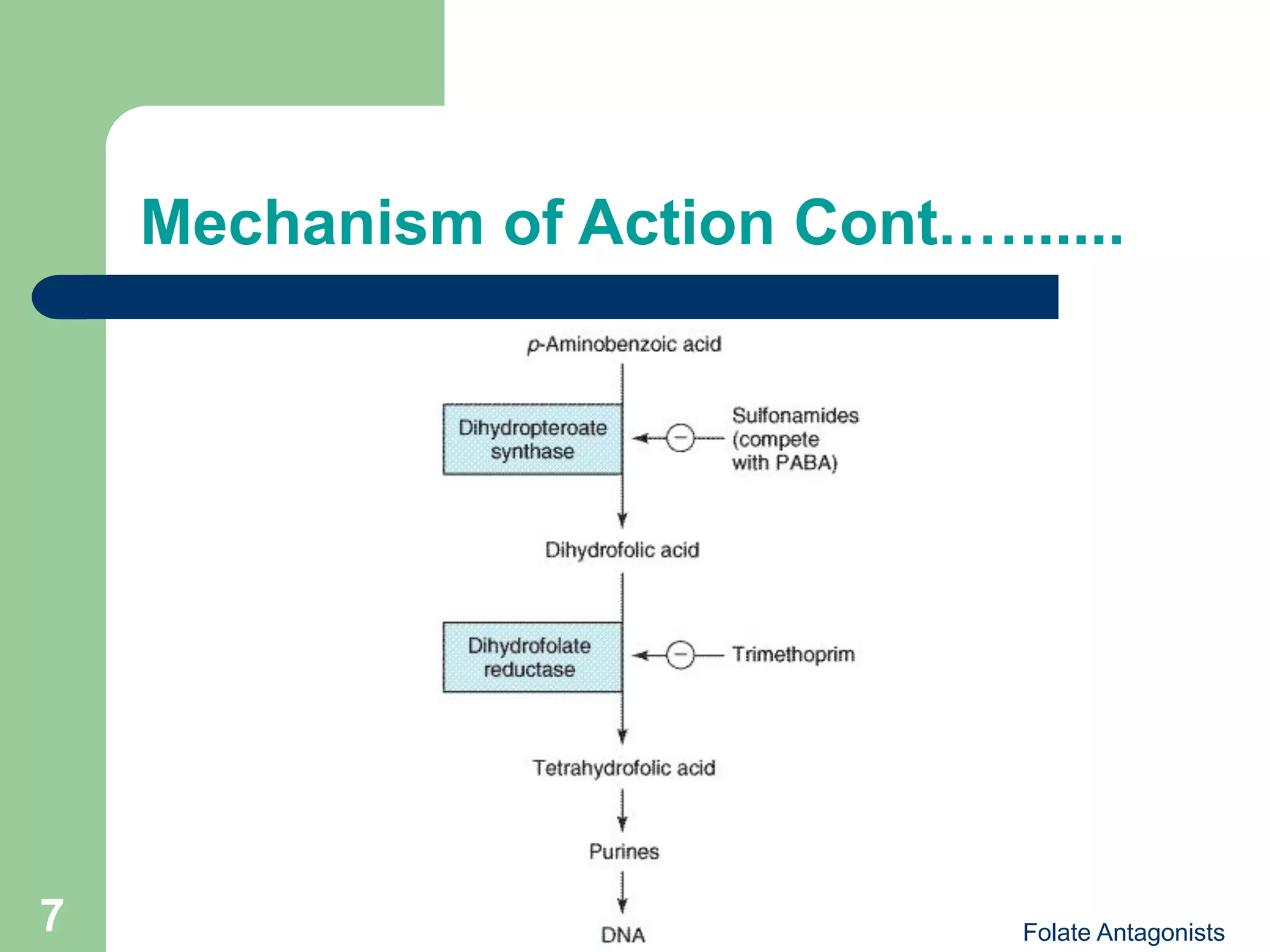 Folate antagonists- Sulfonamides and Trimethoprim | PDF