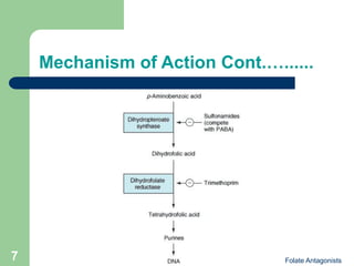 Folate antagonists- Sulfonamides and Trimethoprim | PDF