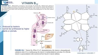FOLATE B12 BH4.pptx