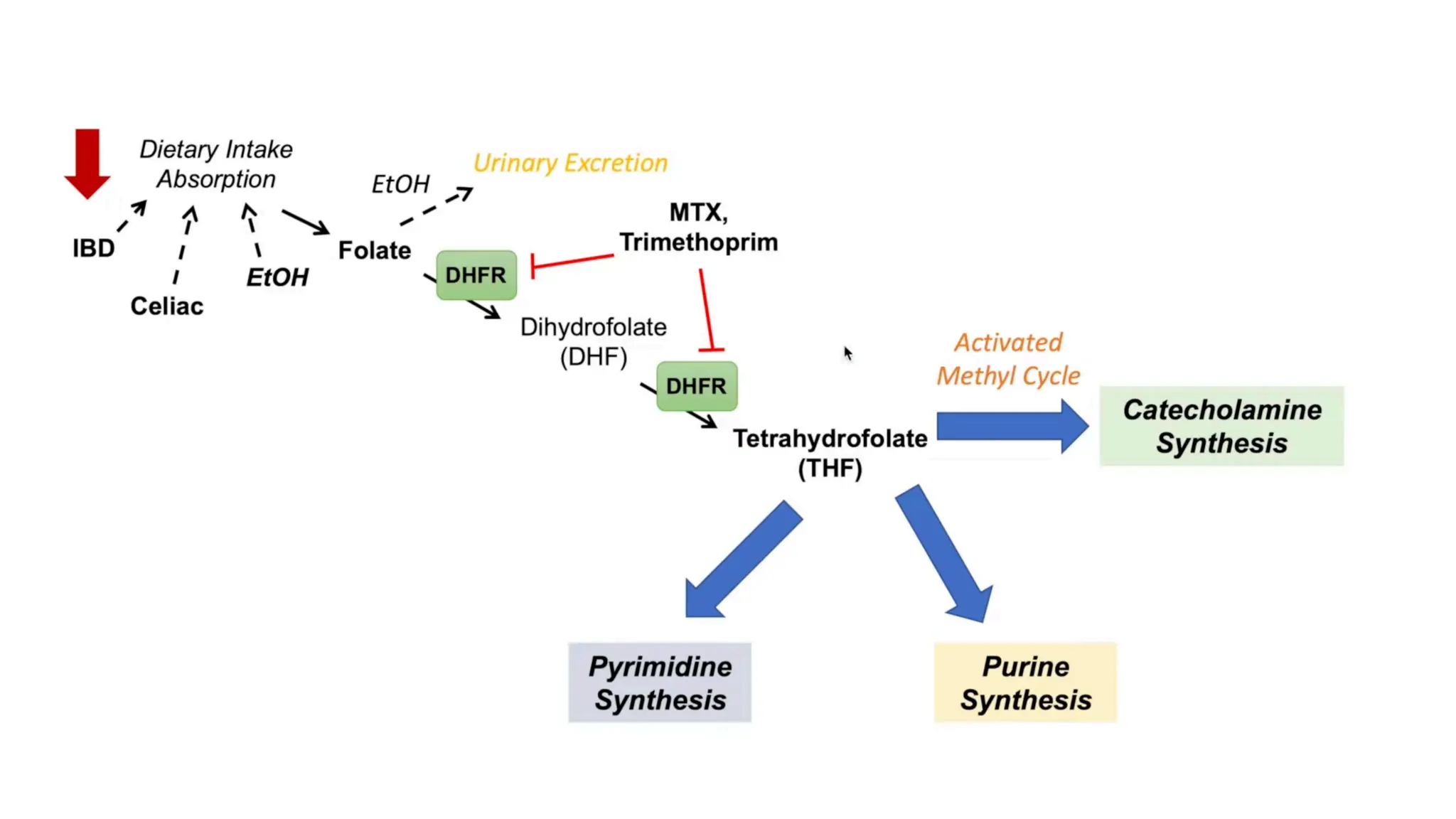 Folate deficiency anemia .pdf