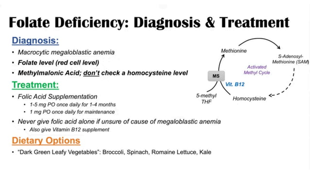 Folate deficiency anemia .pdf | Blood Disorders | Diseases and Conditions