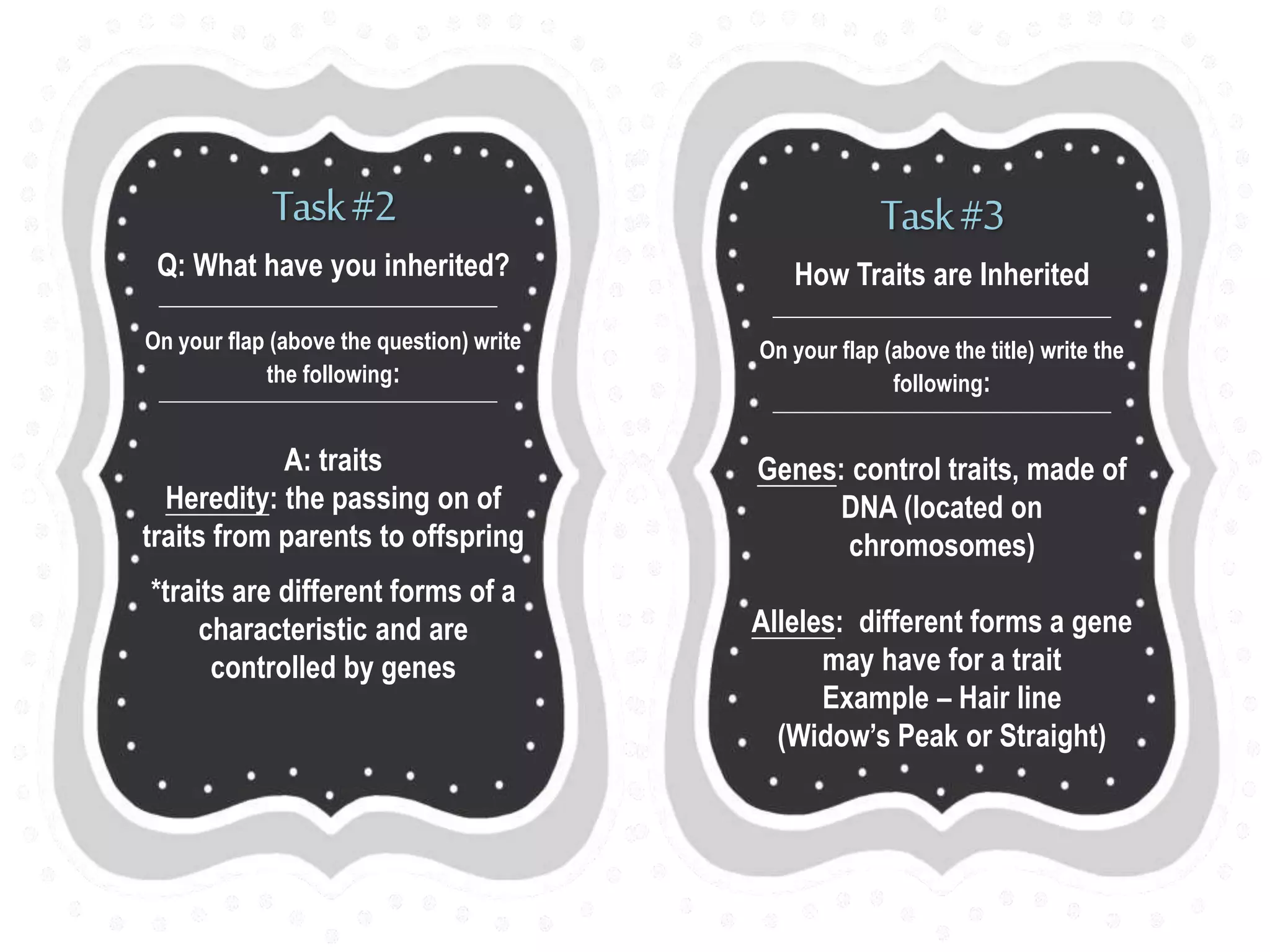 Genetics Foldable | PPT