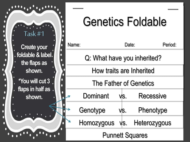 Genetics Foldable | PPT