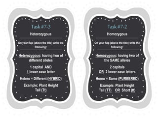 Genetics Foldable | PPTX