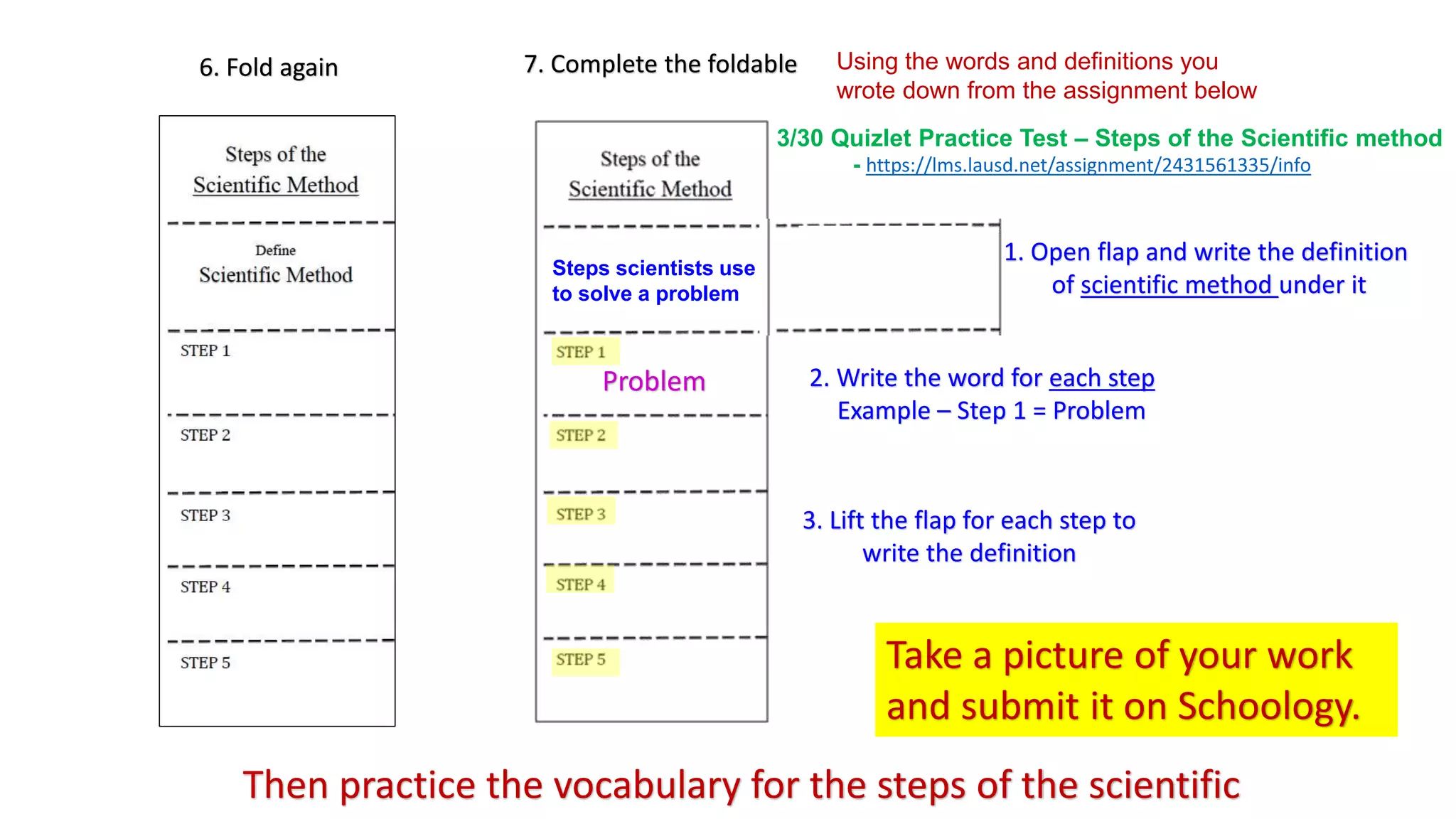 Steps of the Scientific Method - foldable | PPTX