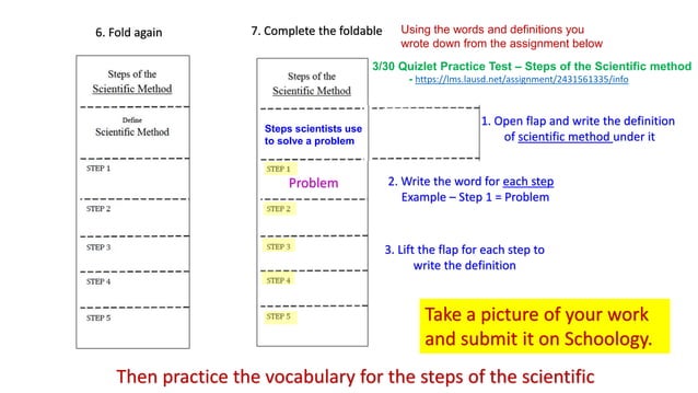 Steps of the Scientific Method - foldable | PPTX | Science
