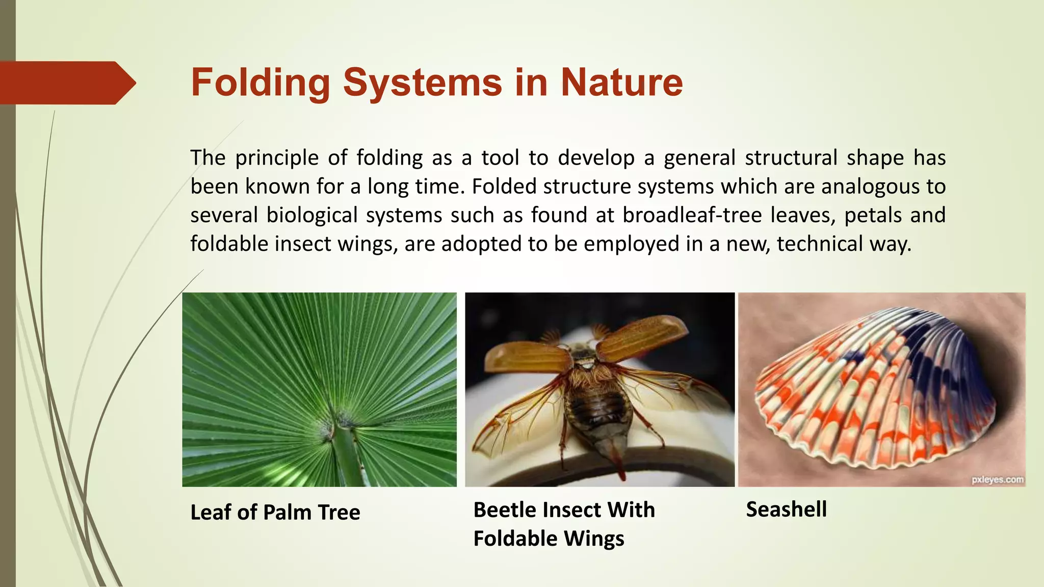 Folded plate structure | PPTX