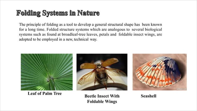 Folded plate structure | PDF