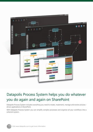 Datapolis Process System | PDF | Operating Systems | Computer Software and Applications