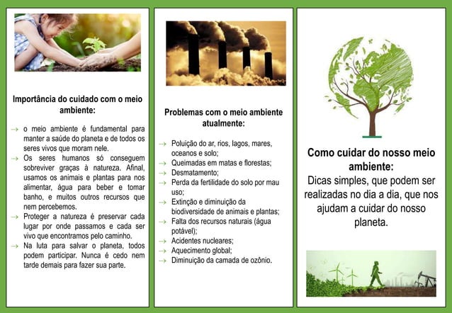 Folder informativo sobre o meio ambiente - ensino médio.pptx