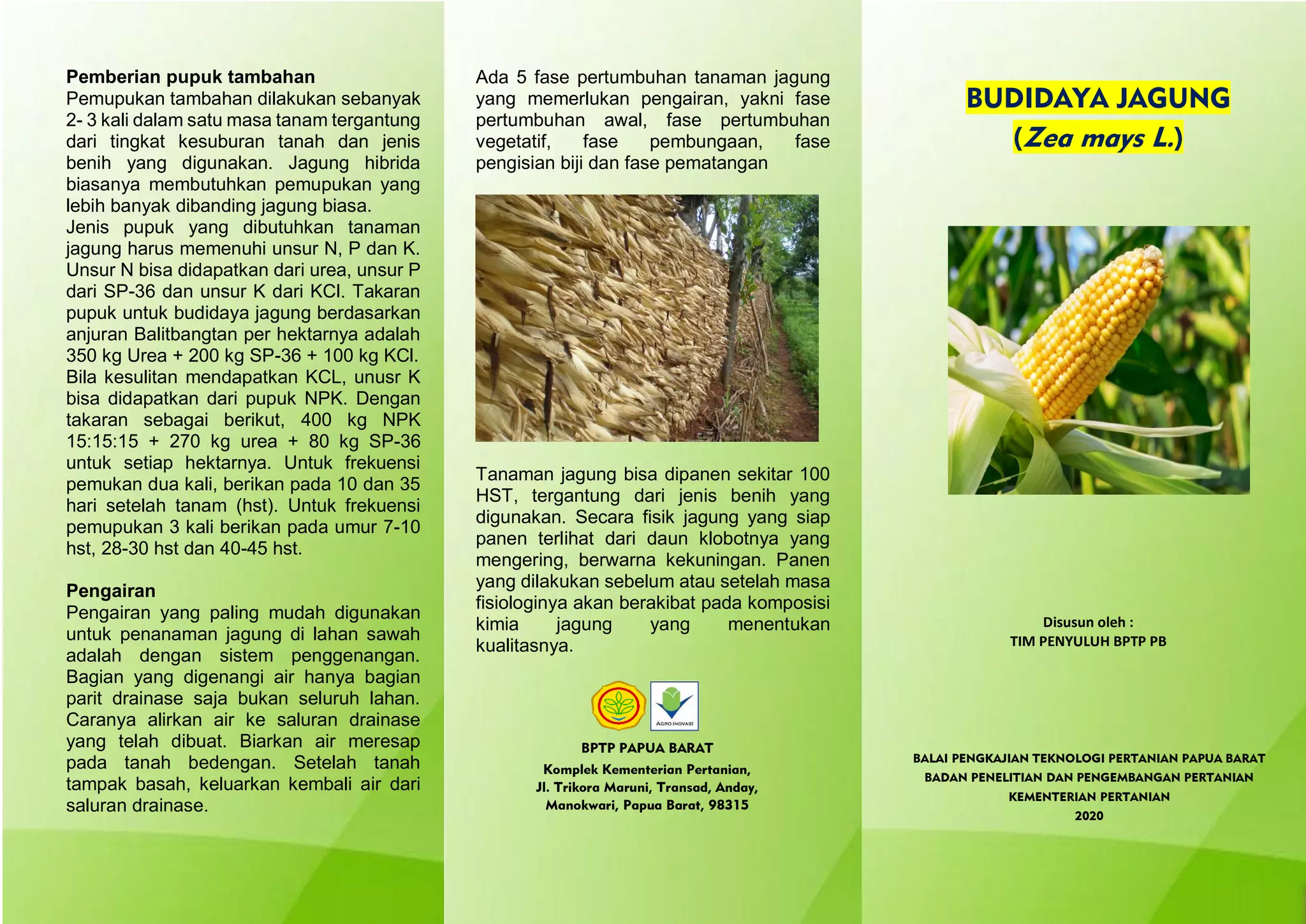 Folder Jagung 2021.pdf