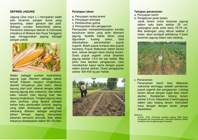 Folder Jagung 2021.pdf