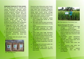 Folder Padi Ladang 2021.pdf
