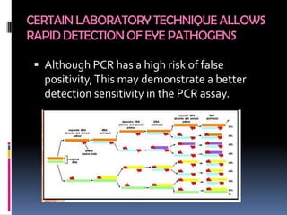 PCR Polymerase Chain Reaction by Laura Mejia | PPT