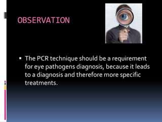 PCR Polymerase Chain Reaction by Laura Mejia | PPT