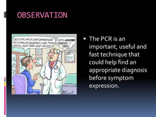 PCR Polymerase Chain Reaction by Laura Mejia | PPT