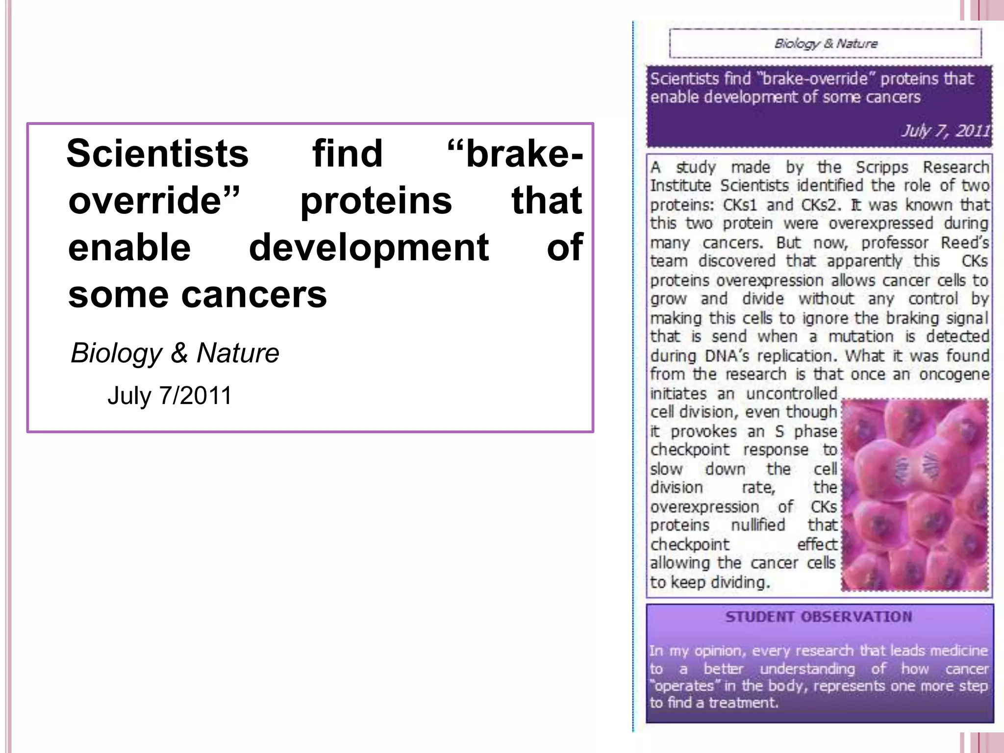 Folding: chromosomes, chromatine and cell cycle | PPT