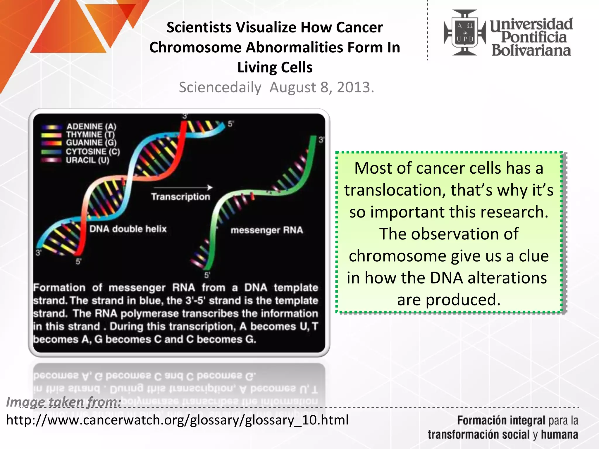 “Cell Memory Mechanism Discovered” And “Scientists Visualize How Cancer ...