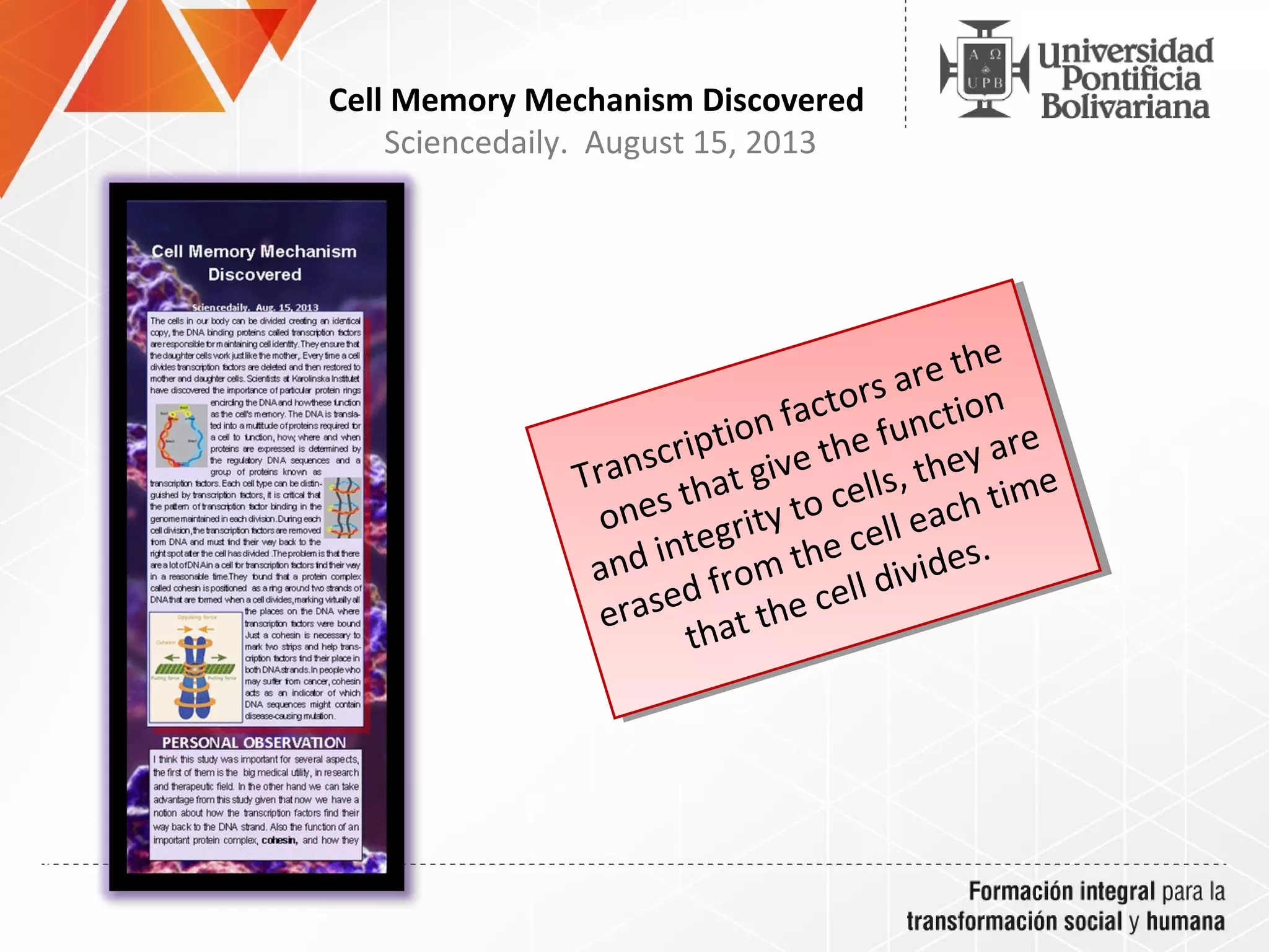 “Cell Memory Mechanism Discovered” And “Scientists Visualize How Cancer ...