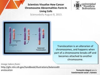 “Cell Memory Mechanism Discovered” And “Scientists Visualize How Cancer ...