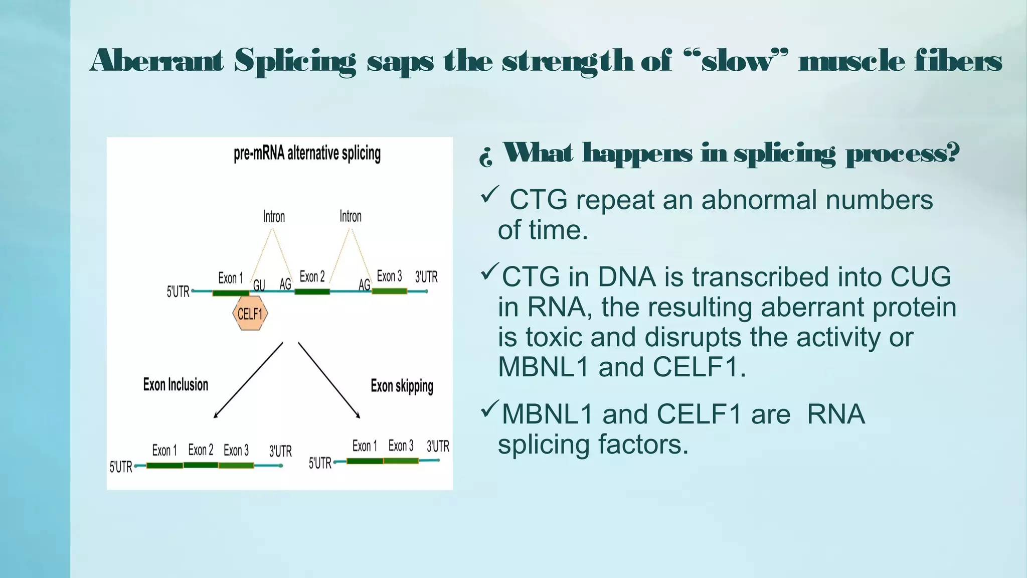 SPLICING | PPT | Genetics | Science