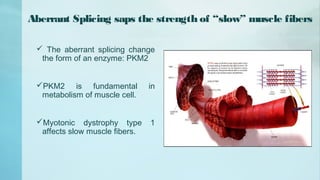 SPLICING | PPT