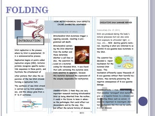 Folding def | PPT