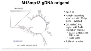 (Journal Club) Folding DNA to create nanoscale shapes and patterns | PPT