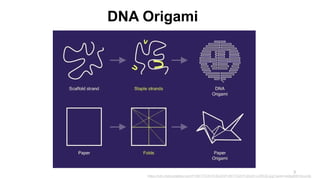 (Journal Club) Folding DNA to create nanoscale shapes and patterns | PPT