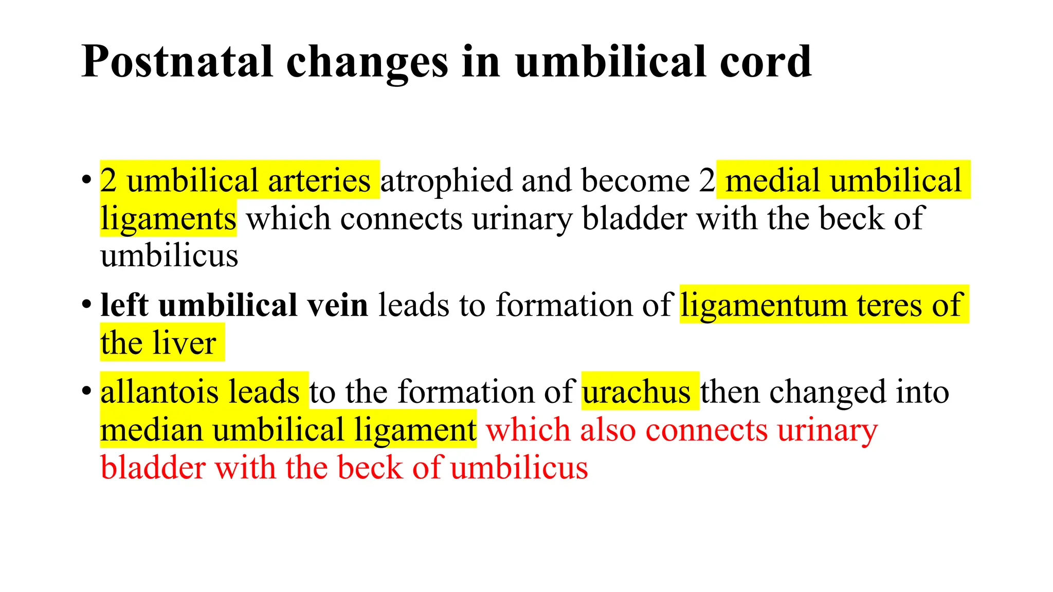 folding, fetal membranes, umbilical cord.pptx