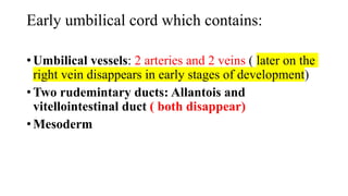 folding, fetal membranes, umbilical cord.pptx
