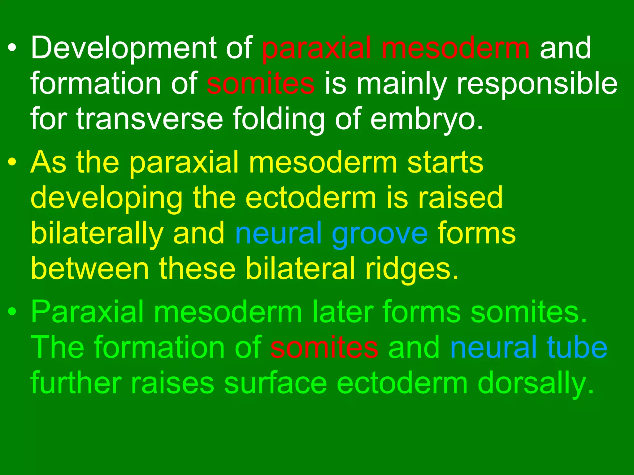 Folding of embryo | PPT