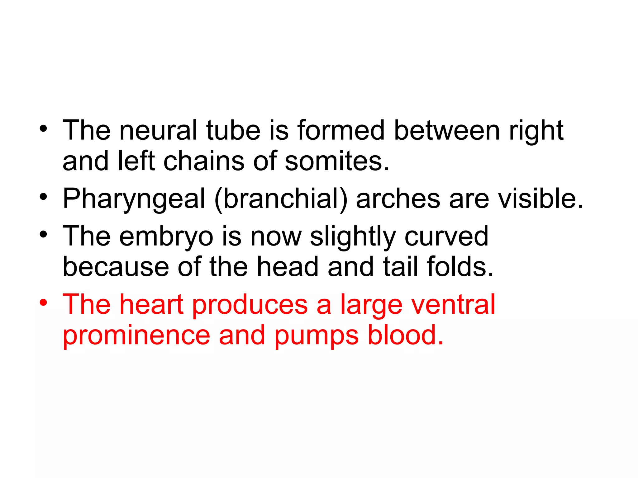Folding of embryo | PPT