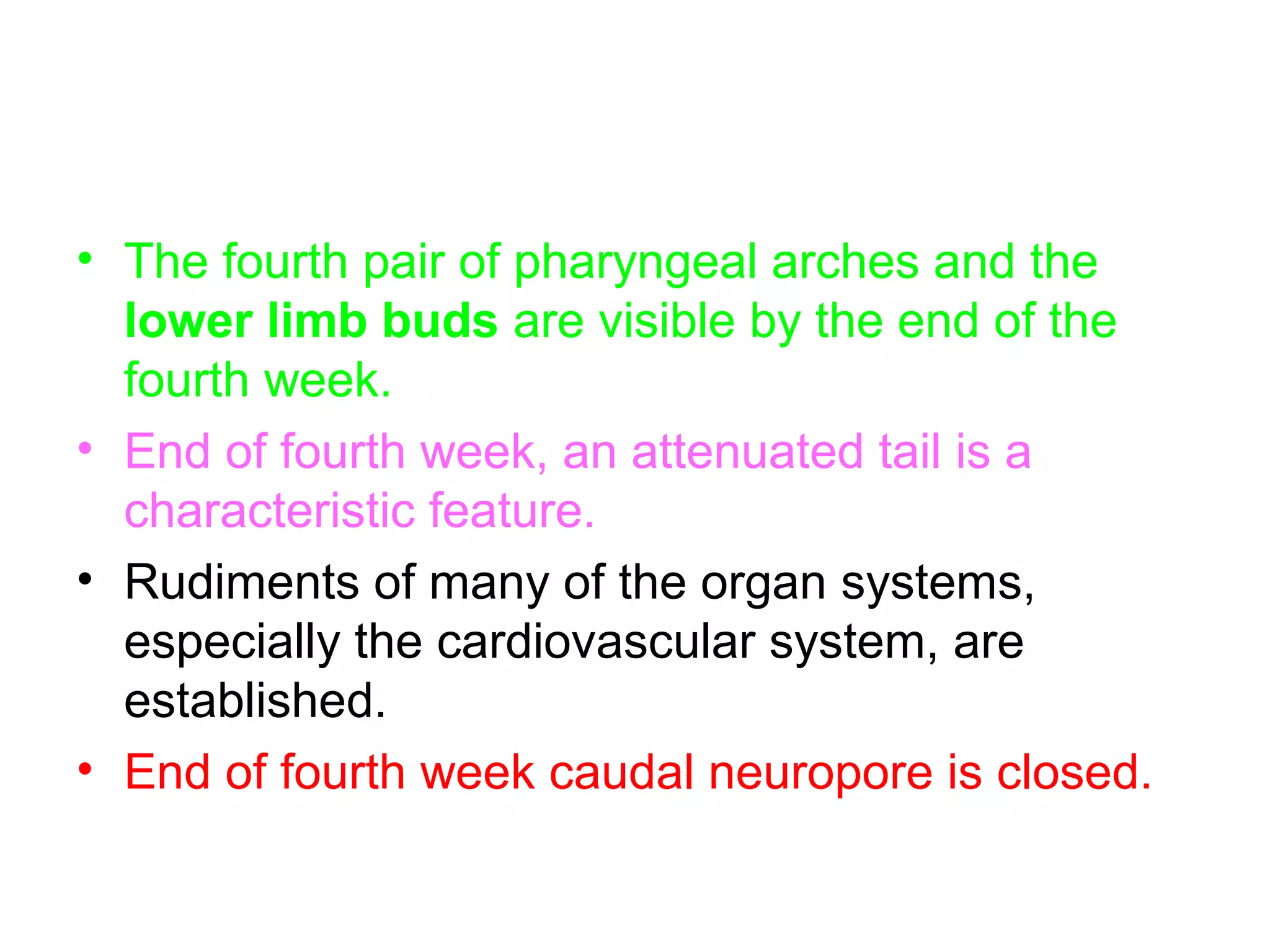 Folding of embryo | PPT