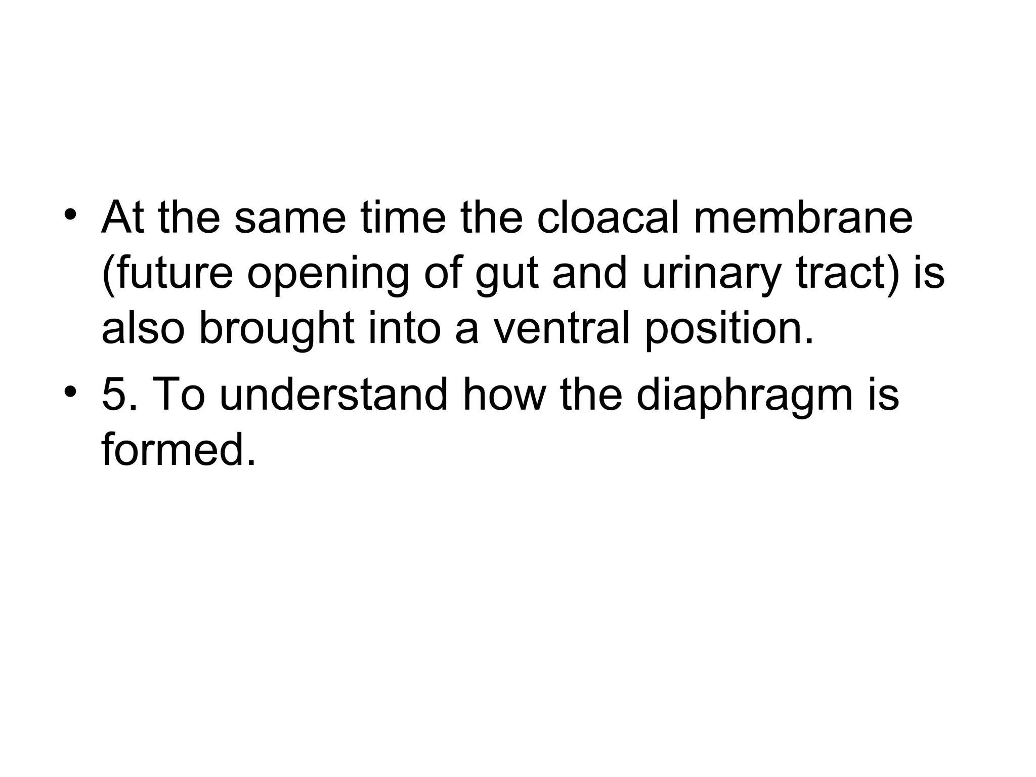 Folding of embryo | PPT