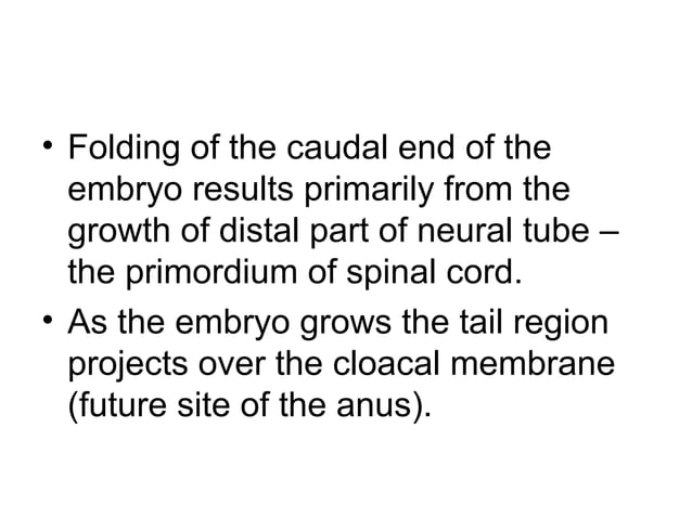 Folding of embryo | PPT | Biological Sciences | Science