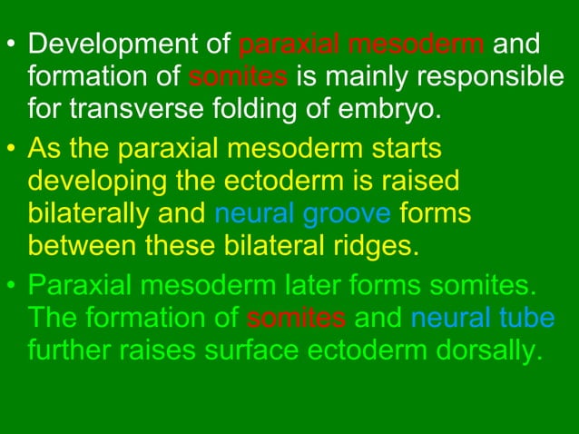 Folding of embryo | PPT | Biological Sciences | Science