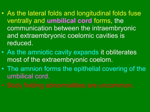 Folding of embryo | PPT | Biological Sciences | Science