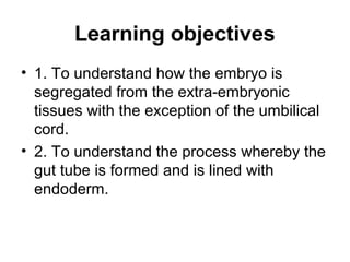 Folding of embryo | PPT