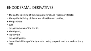FOLDING OF EMBRYONIC DISC DENTAL STUDENT ANATOMY.pdf