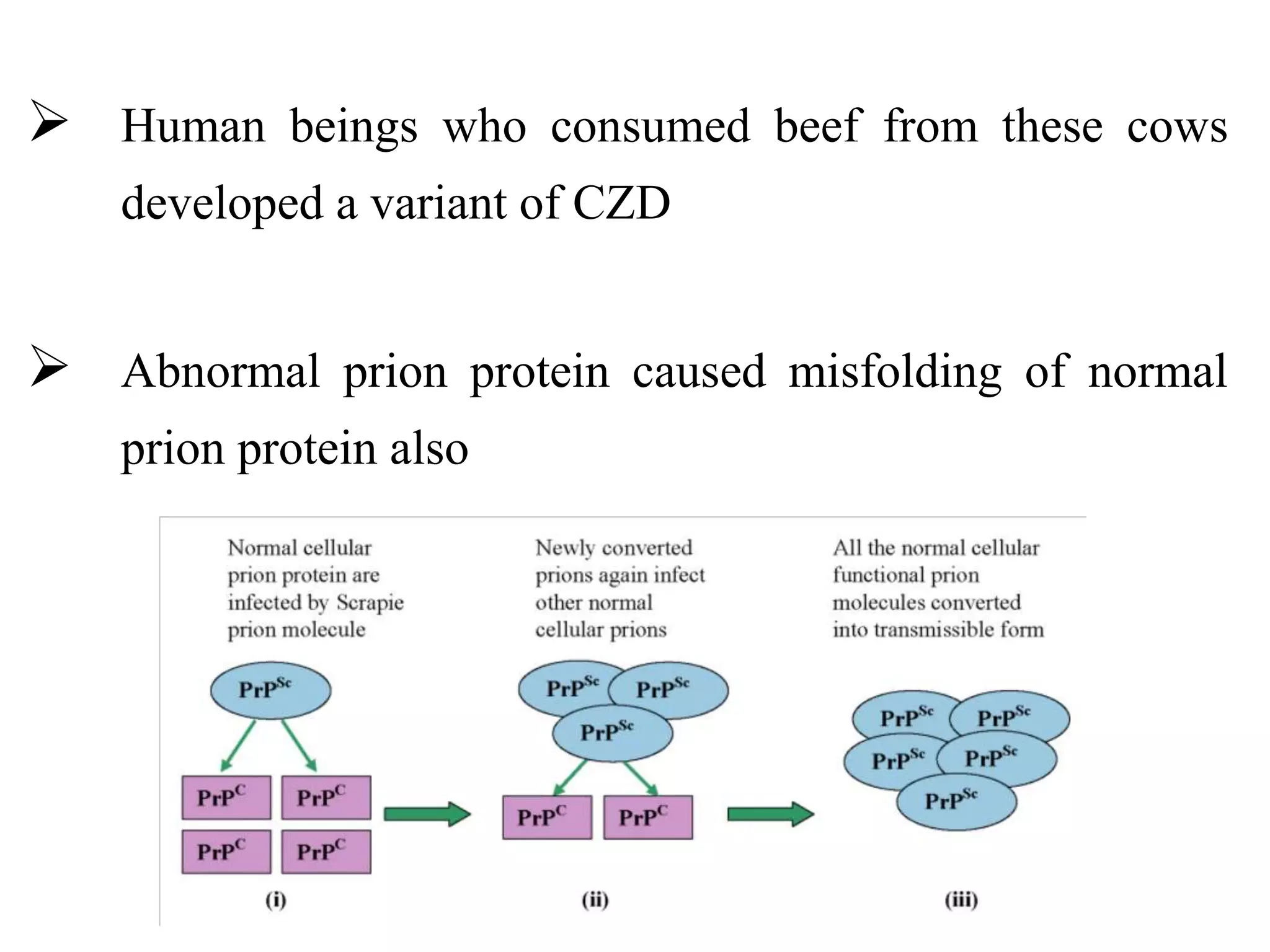 Folding of Protein and Chaperons and various protein.pptx