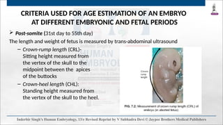 Foldings of Embryo.pptx steps of foldings of embryo | PPTX