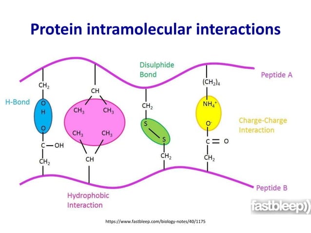 Protein fold recognition and ab_initio modeling | PPTX