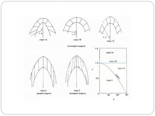 Folds | PDF