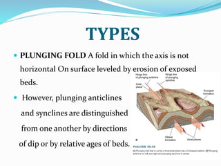 Folds and types | PPTX