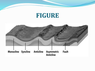 Folds and types | PPTX